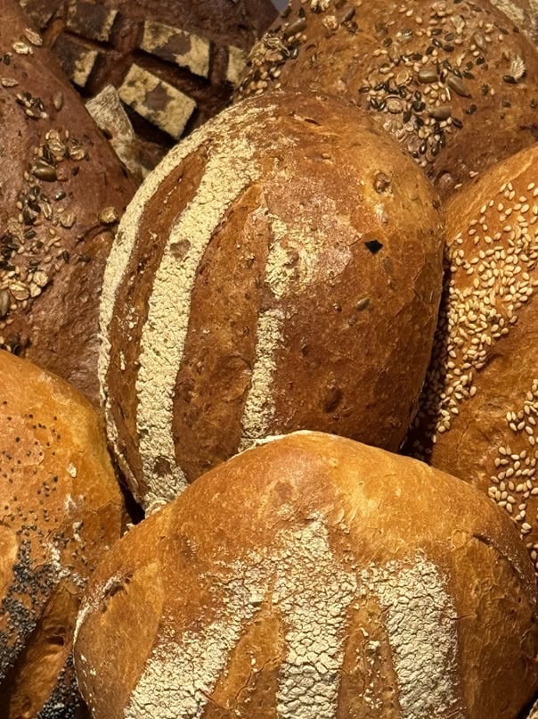 Kreuzfahrttester-Test: Die Amina überzeugt auf ganzer Linie